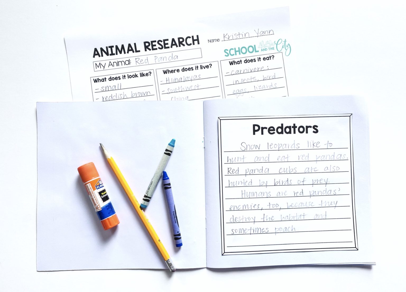 Animal Research Projects School And The City Animal Research Projects School And The City